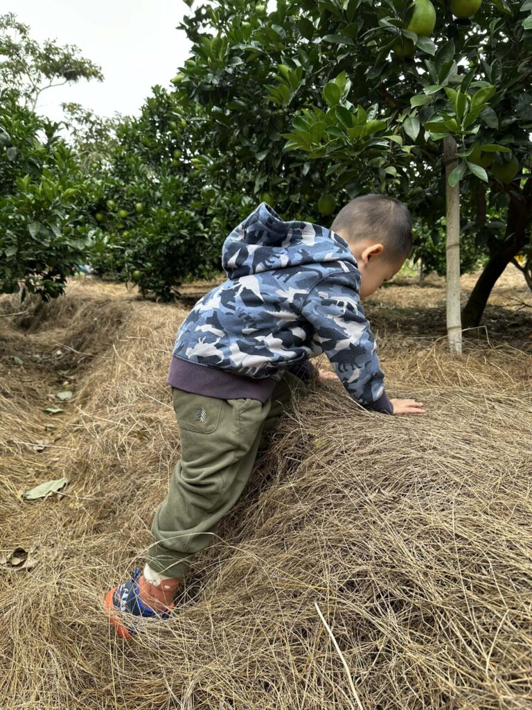 妹妹新婚快乐 - 粽叶加米 WORDPACE