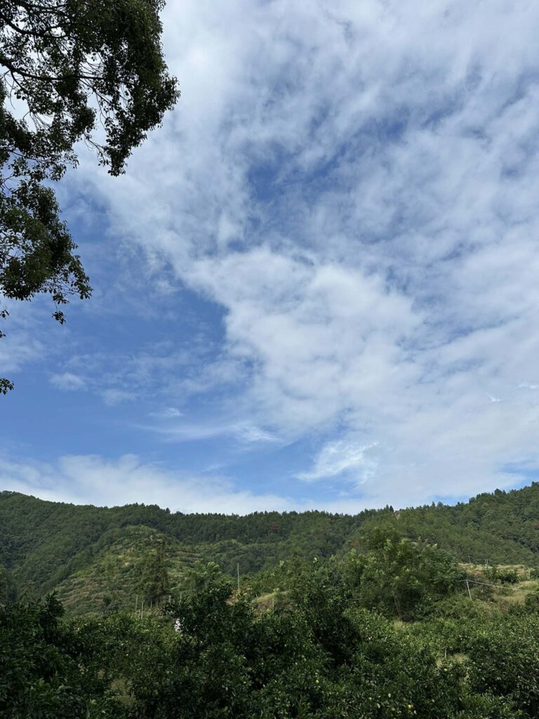 妹妹新婚快乐 - 粽叶加米 WORDPACE